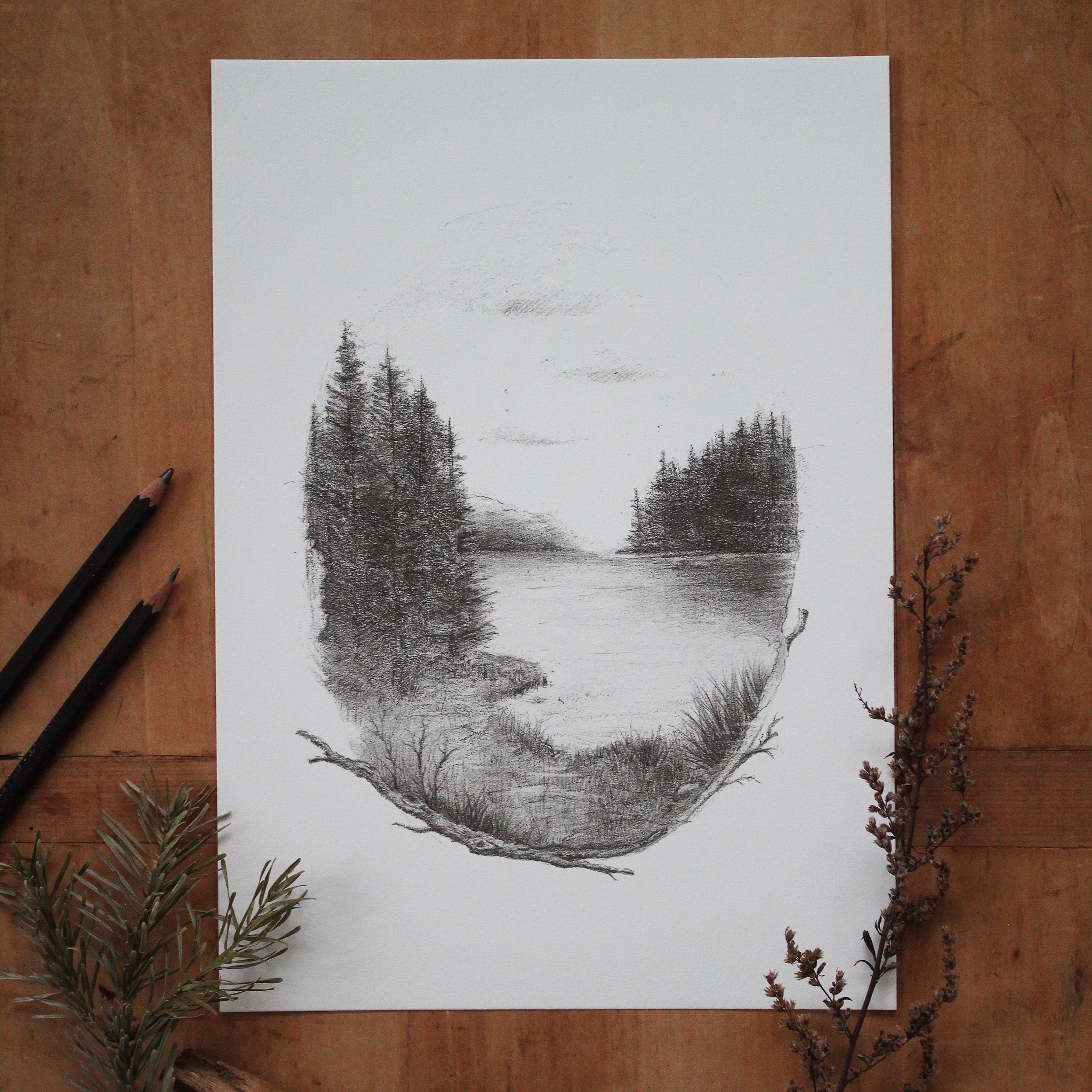 Forest Pencil Drawing