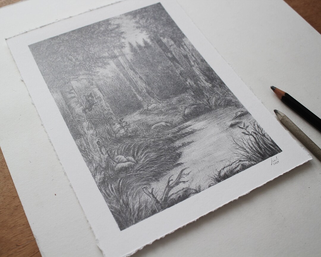 Forest - Original Graphite Drawing, Pencil, Paper, Art, Illustration ...
