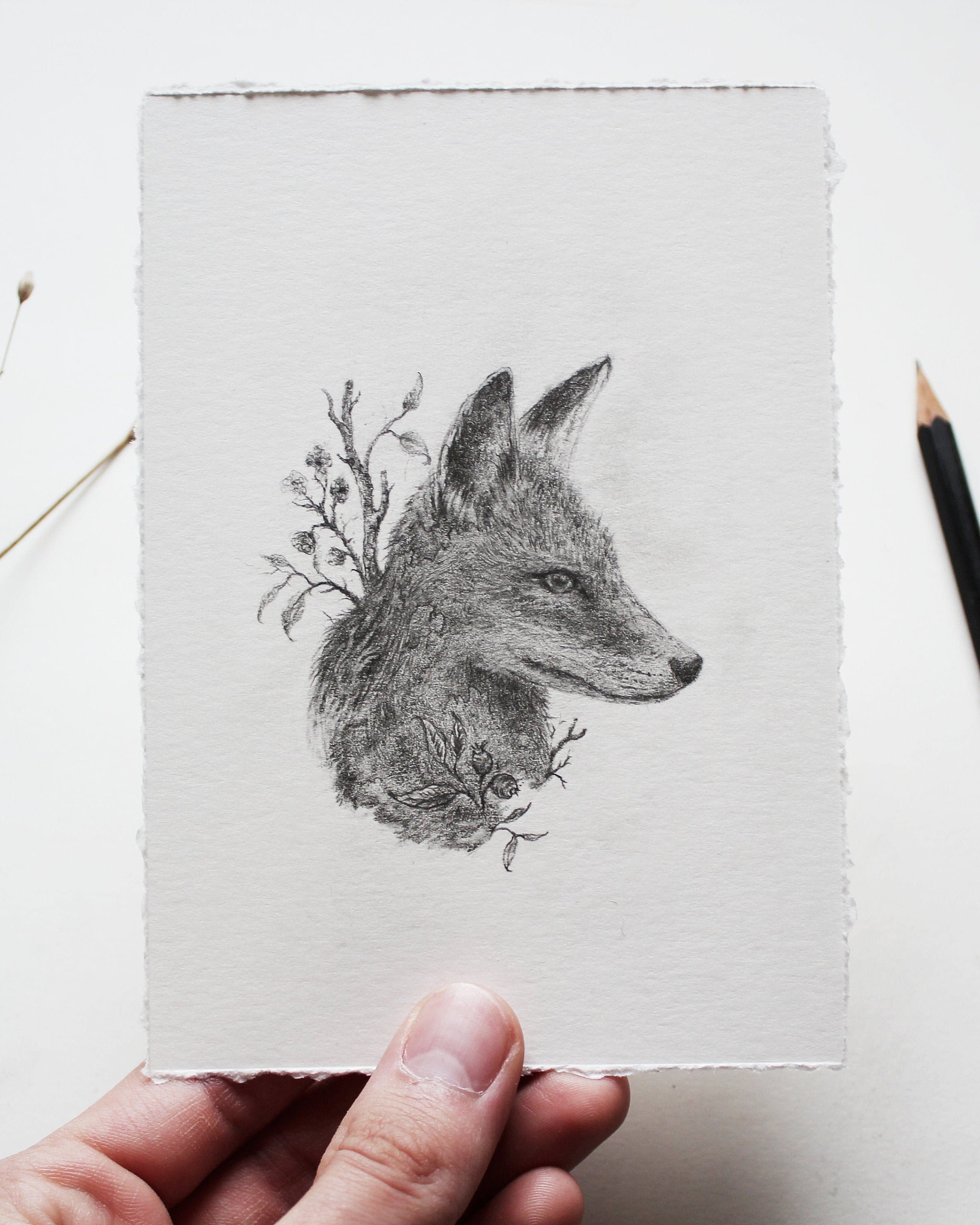 Fuchs Portrait Originale Graphit Zeichnung Bleistift | Etsy