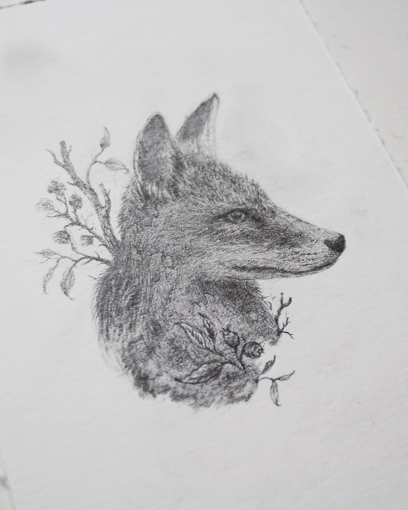 Fuchs Portrait Originale Graphit Zeichnung Bleistift - Etsy.de
