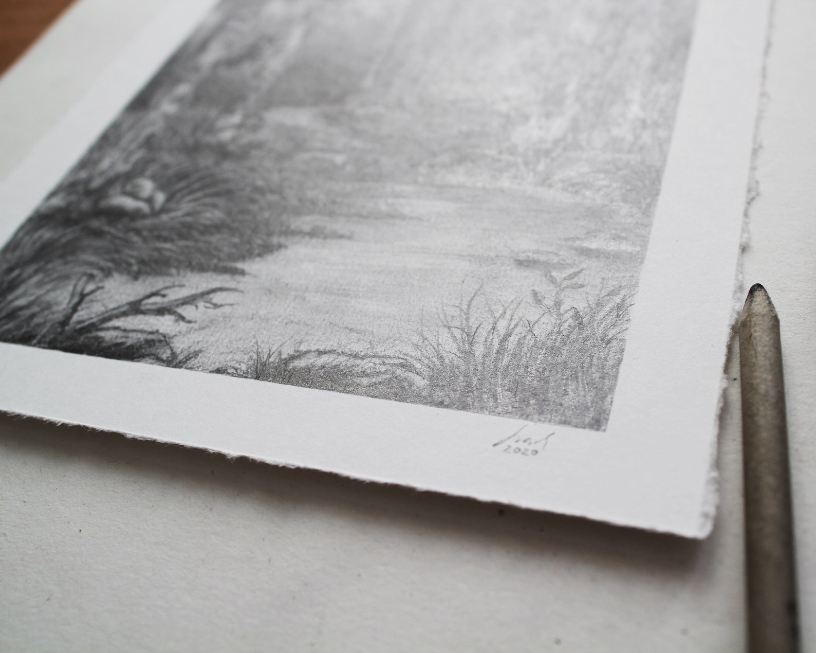 Forest - Original Graphite Drawing, Pencil, Paper, Art, Illustration ...