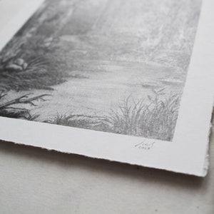 Forest - Original Graphite Drawing, Pencil, Paper, Art, Illustration ...