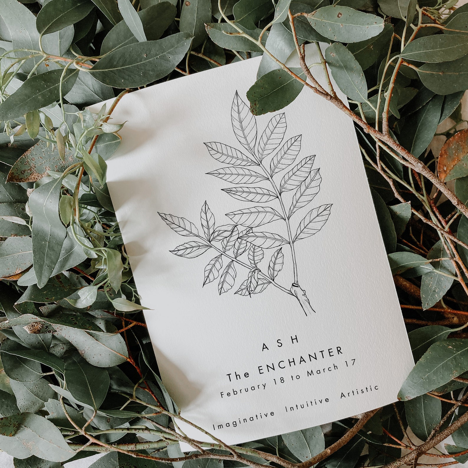 Celtic Ash Tree Print/tree Astrology Print/celtic Zodiac Print/birthday ...