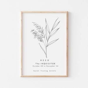 Celtic Reed Print/tree Astrology Print/celtic Zodiac Print/birthday ...