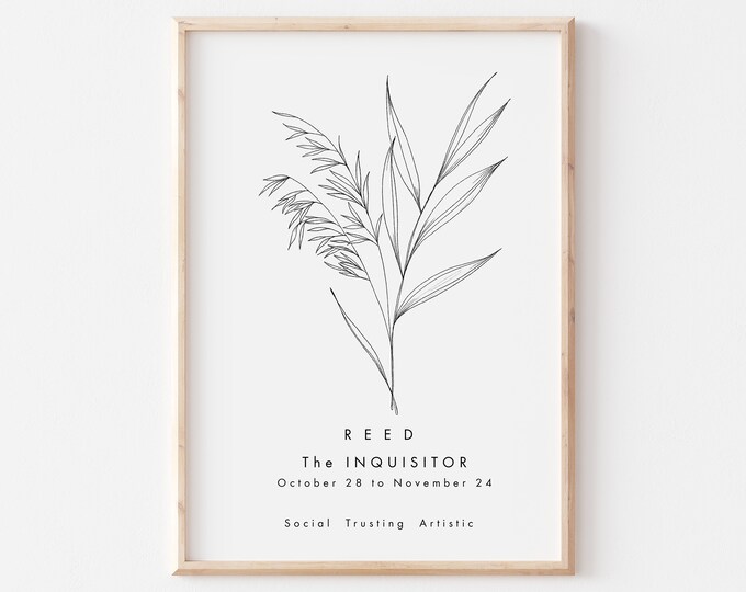 Celtic Reed Print/tree Astrology Print/celtic Zodiac Print/birthday ...