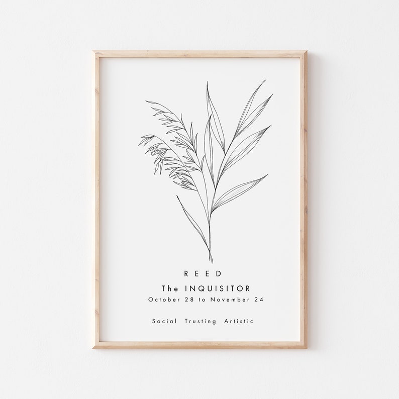 Celtic Reed Print/tree Astrology Print/celtic Zodiac - Etsy