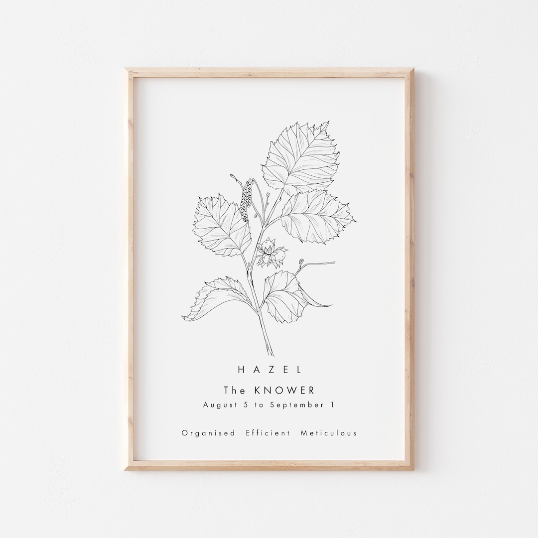 Celtic Hazel Tree Print/tree Astrology Print/celtic Zodiac Print ...