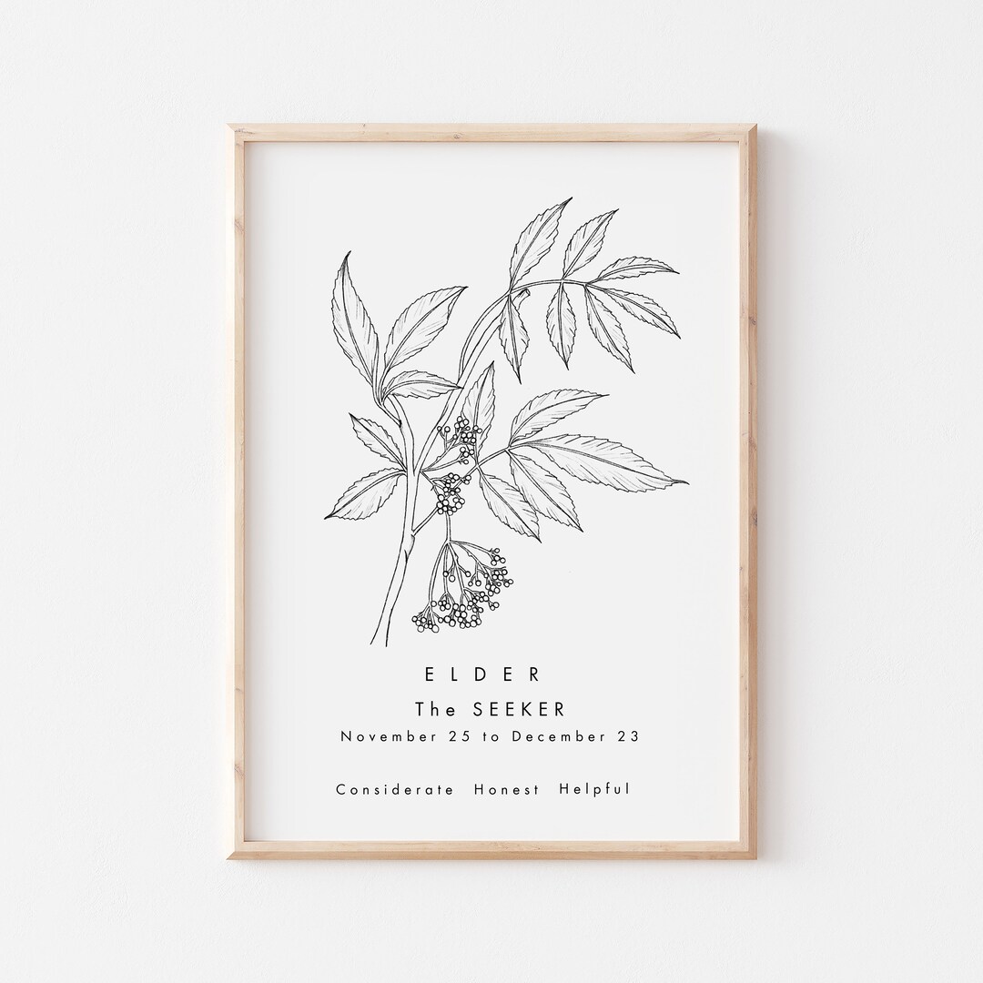 Celtic Elder Tree Print/tree Astrology Print/celtic Zodiac Print ...