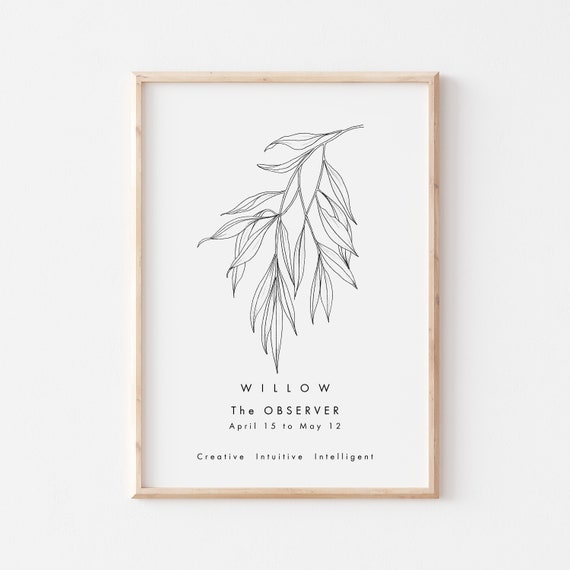 Celtic Willow Tree Print/tree Astrology Print/celtic Zodiac - Etsy