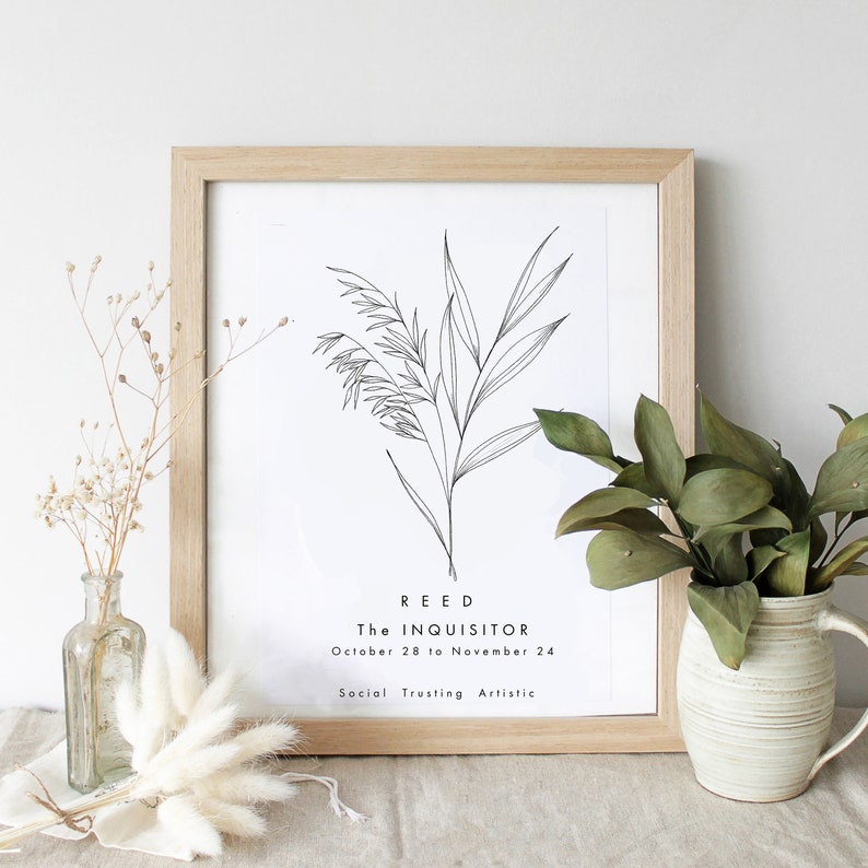 Celtic Reed Print/tree Astrology Print/celtic Zodiac - Etsy