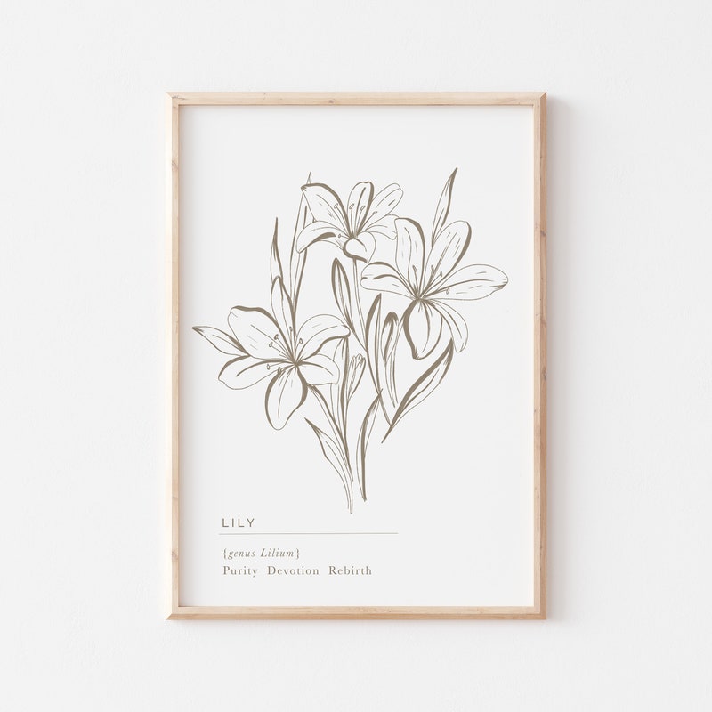 Lily the Name Meaning - Etsy