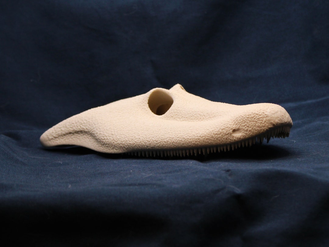 3d Printed Tiktaalik Skull - Etsy