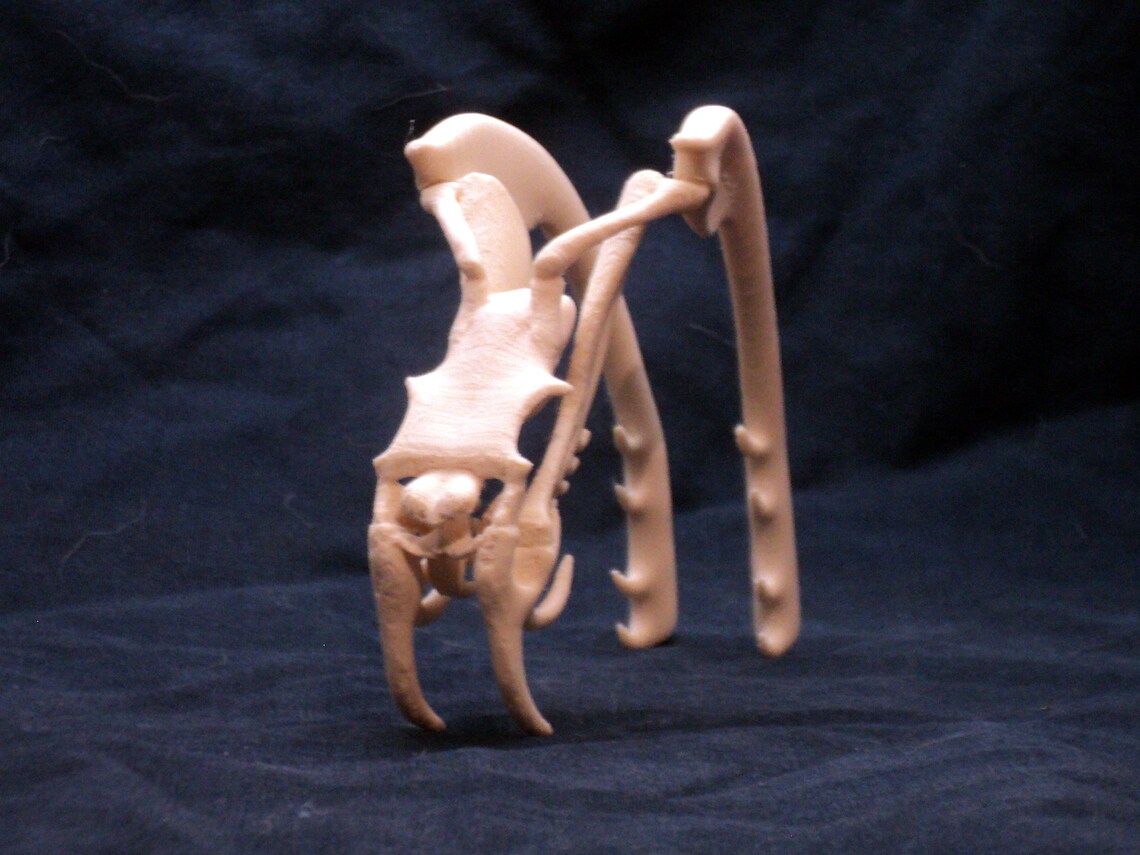 3d Printed Rattlesnake Skull - Etsy