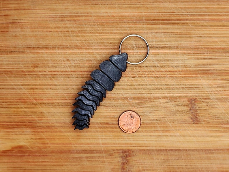3d Printed Trilobite Beetle Keyring - Etsy