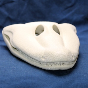 3d Printed Tiktaalik Skull - Etsy