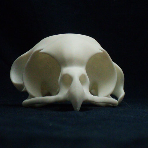 3D Printed Mini Deer Skull | Etsy