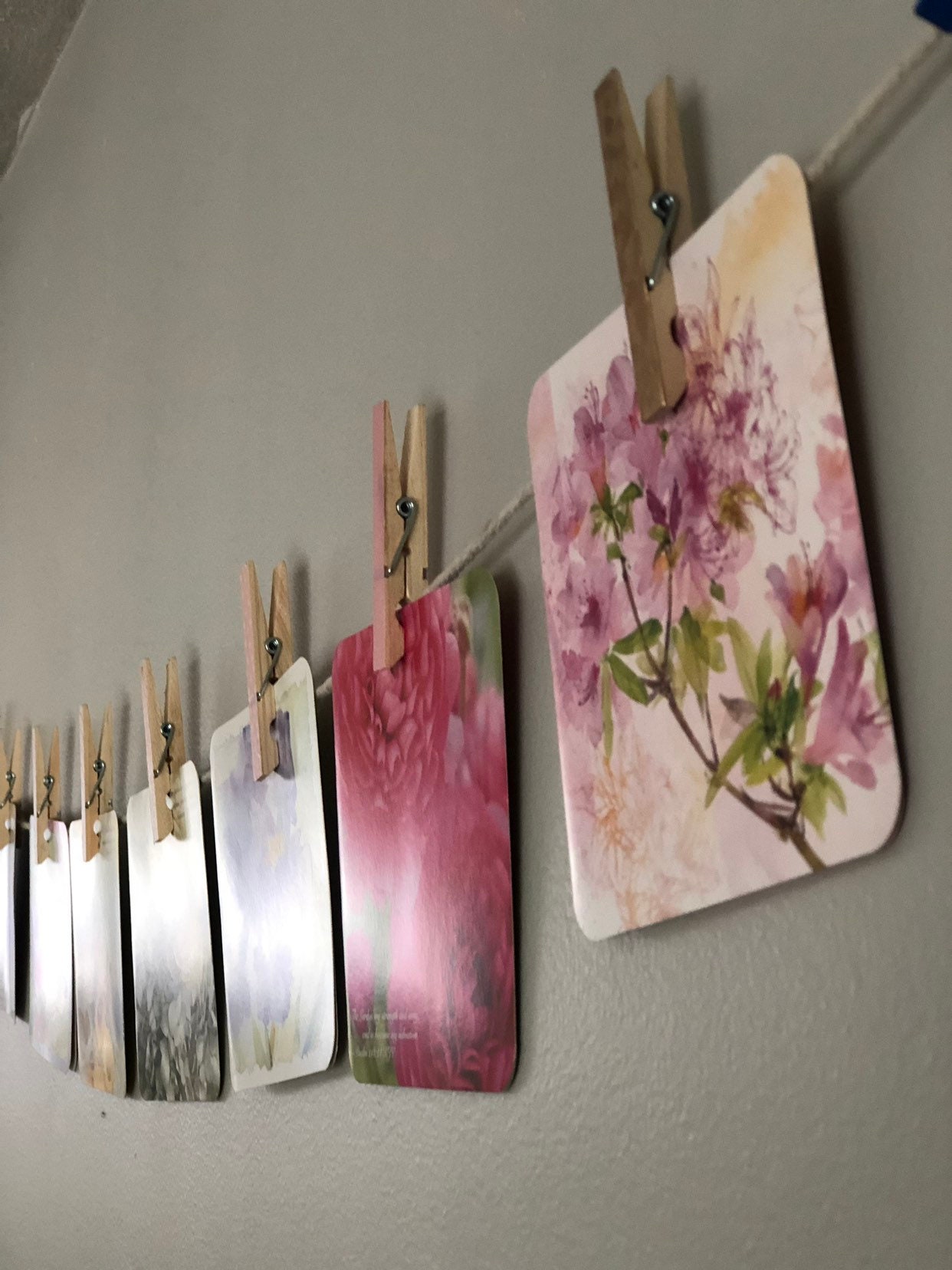 Clothesline Beachy Colors Photo Display Clothespin Display | Etsy