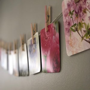 Clothesline Art Display, Art Work Display, Baby Girl Onesie Display ...