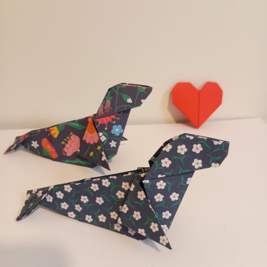 Seal, Seal Card, Cute Seal, Seal Party Souvenirs, Gift for Lovers Seal ...