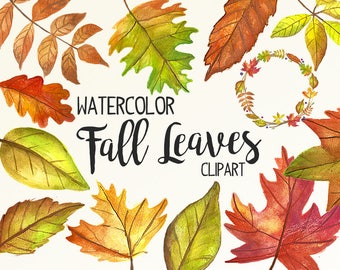 Fall leaves clipart | Etsy
