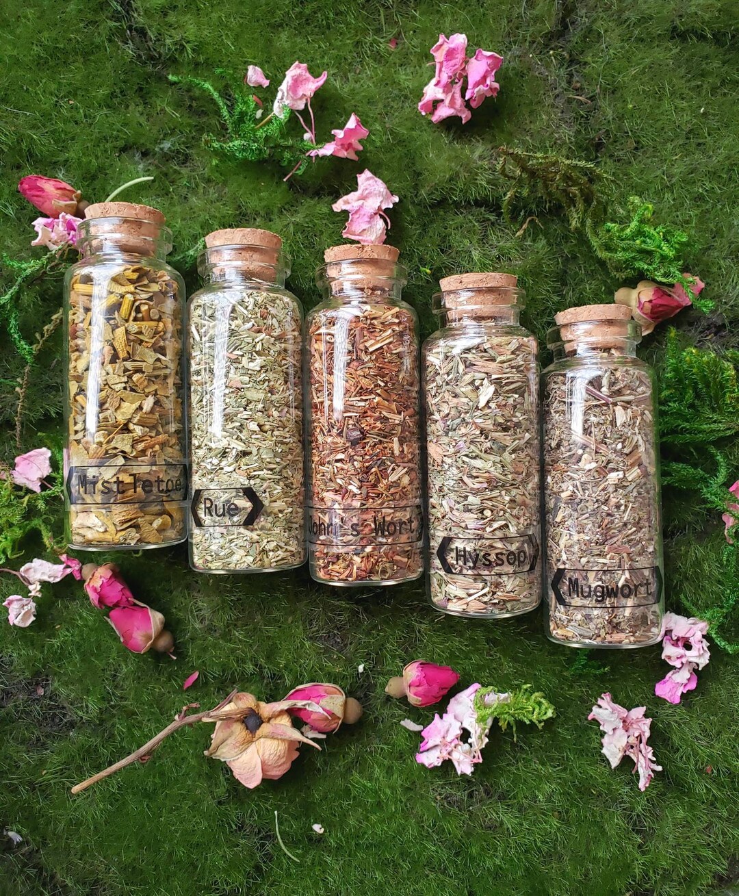 1.5 Oz Dried Herb Vials | Herbal Bottles | Witchcraft Herbs | Herbal ...
