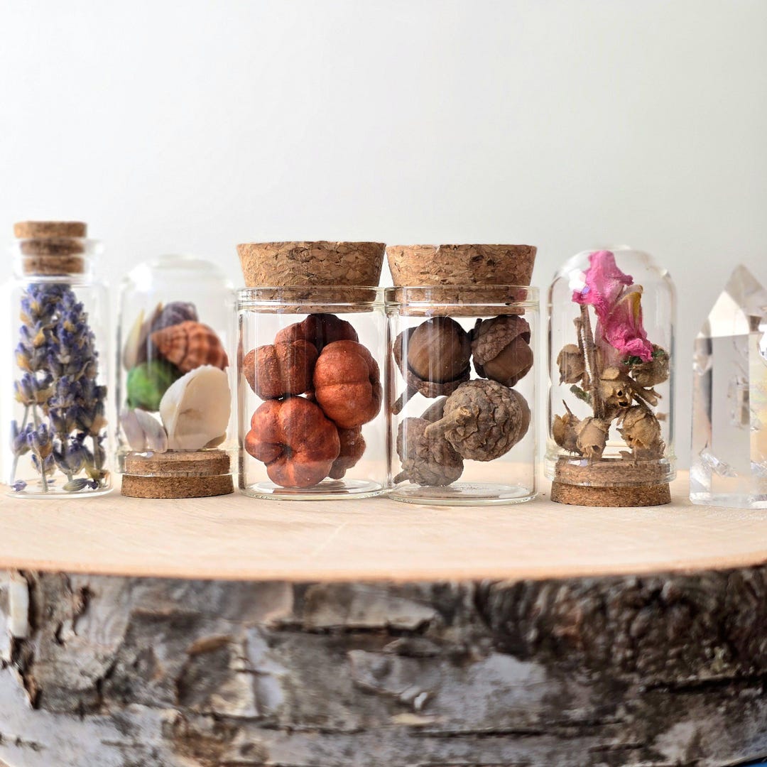 Botanical Spirits Curio Kit | Curiosity Cabinet Items | Oddities and ...