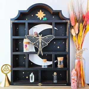 Luna Moth Shelf | Apothecary Cabinet | Crystal Shelf | Oddities Display ...
