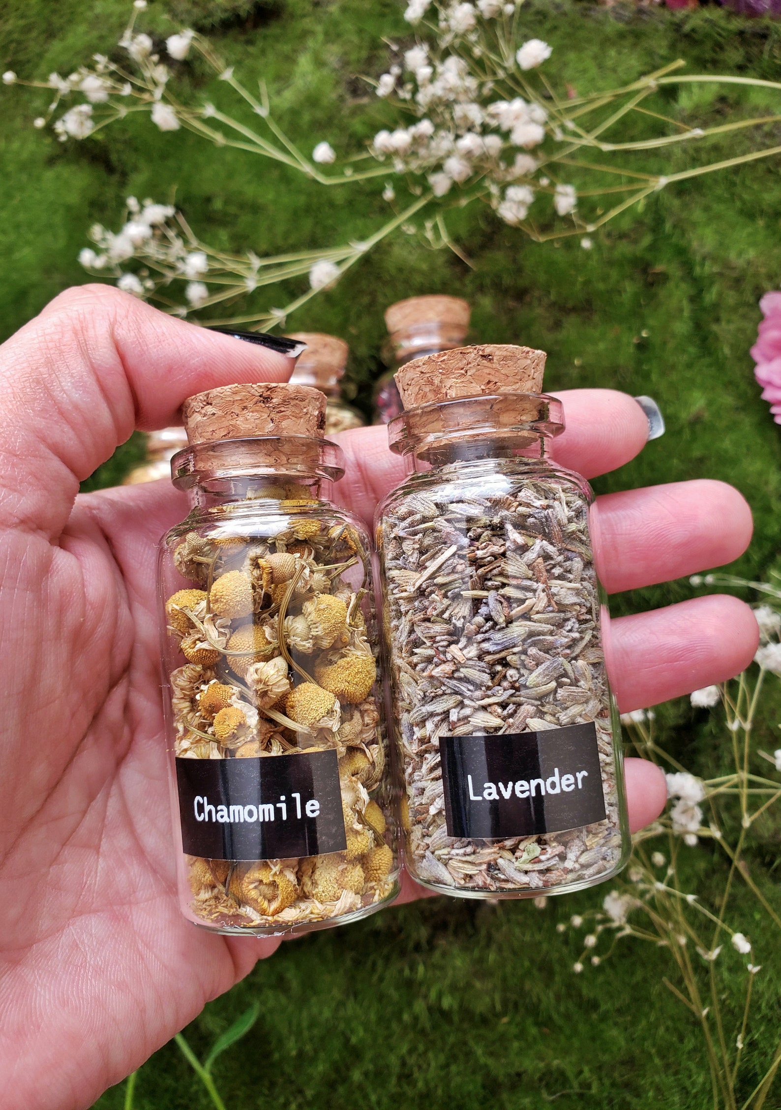 1.5 Oz Herbal Bottles Dried Herb Vial Witchcraft Herbs - Etsy 1.5 Oz Herbal Bottles Dried Herb Vial Witchcraft Herbs - Etsy