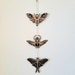 Insect Garland Wood Wall Hanging Decor Hawkmoth Luna Moth Winged Beetle ...
