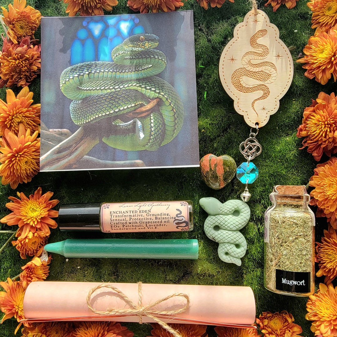 Snake Familiar Kit - Etsy