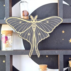 Luna Moth Shelf | Apothecary Cabinet | Crystal Shelf | Oddities Display ...