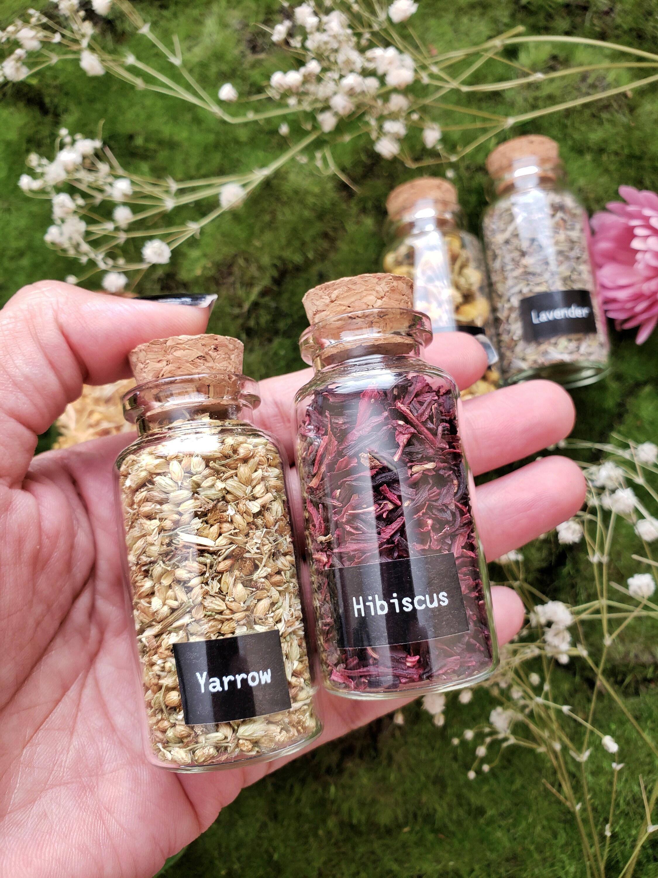 1.5 Oz Herbal Bottles Dried Herb Vial Witchcraft Herbs - Etsy 1.5 Oz Herbal Bottles Dried Herb Vial Witchcraft Herbs - Etsy