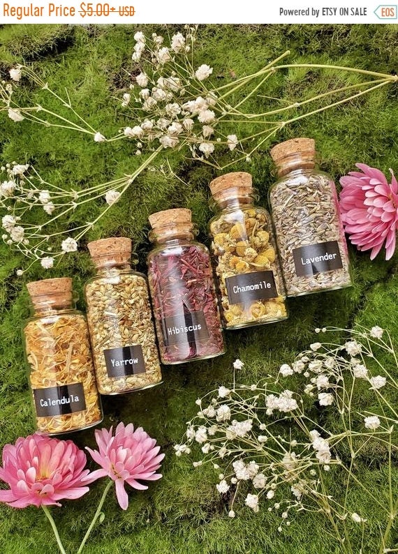 Sale 1.5 oz Herbal Bottles Dried herb vial Witchcraft | Etsy Sale 1.5 oz Herbal Bottles Dried herb vial Witchcraft | Etsy