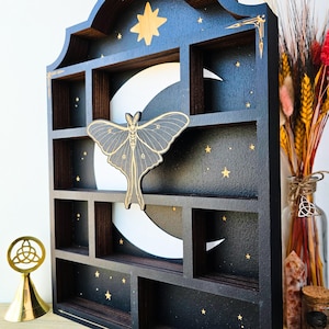 Luna Moth Shelf | Apothecary Cabinet | Crystal Shelf | Oddities Display ...