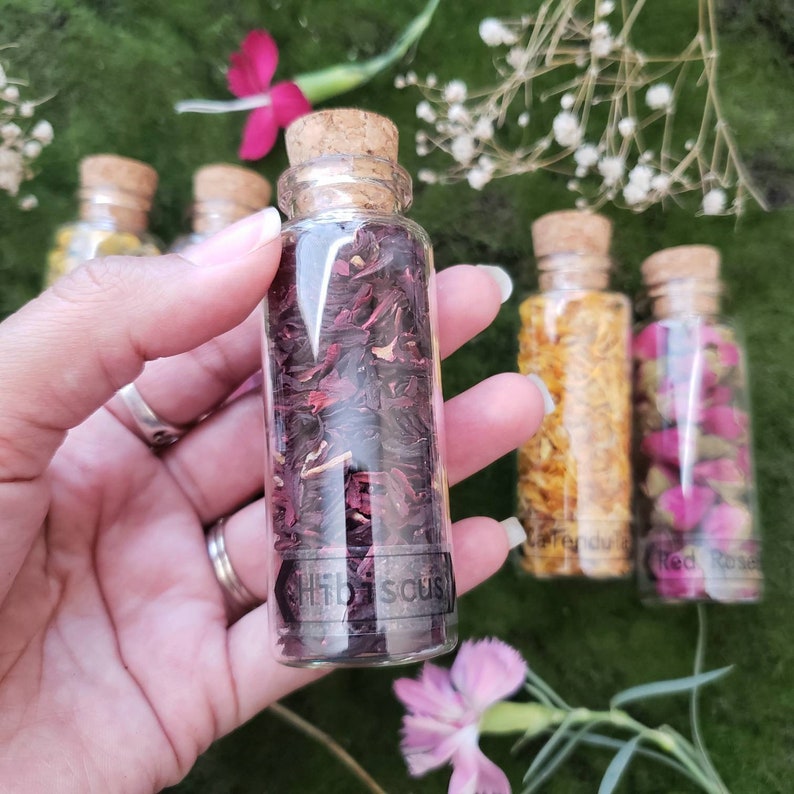 1.5 oz Herbal Bottles Dried herb vial Witchcraft herbs | Etsy 1.5 oz Herbal Bottles Dried herb vial Witchcraft herbs | Etsy