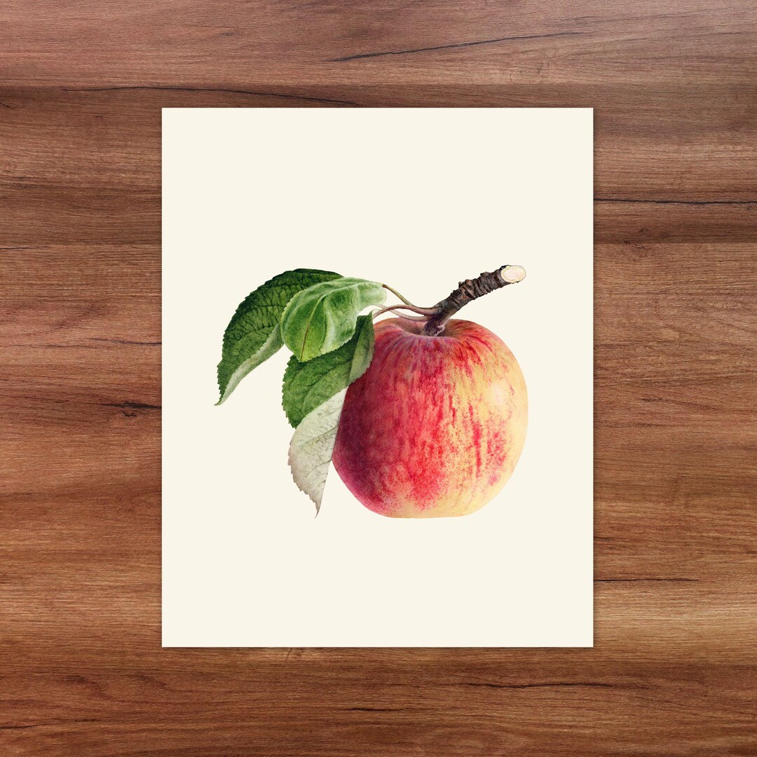 Fall Art Fruit Painting Featuring Apple Kitchen Decor. - Etsy