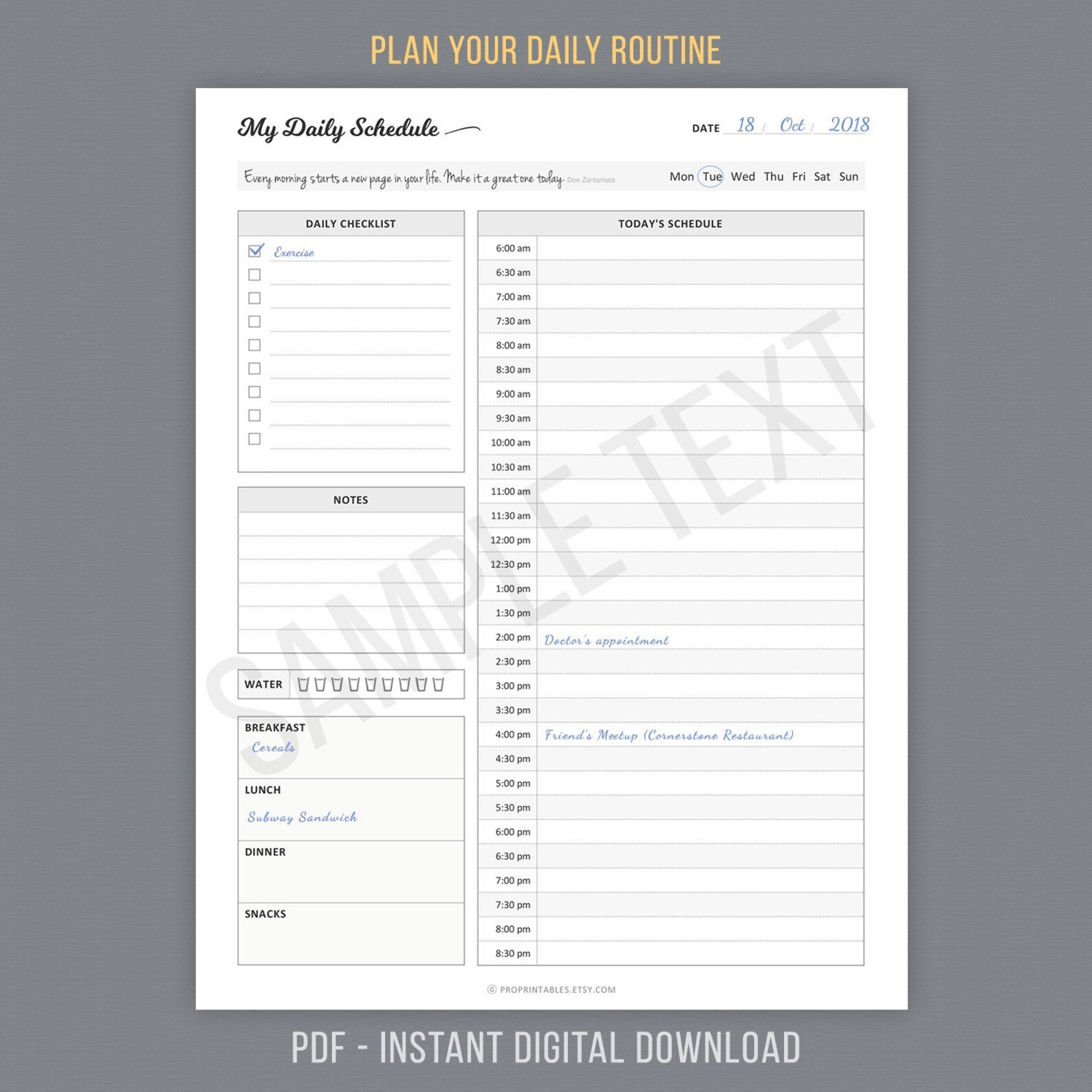 Hourly Planner Inserts, Hourly Planner Printable, Daily Schedule, Day ...