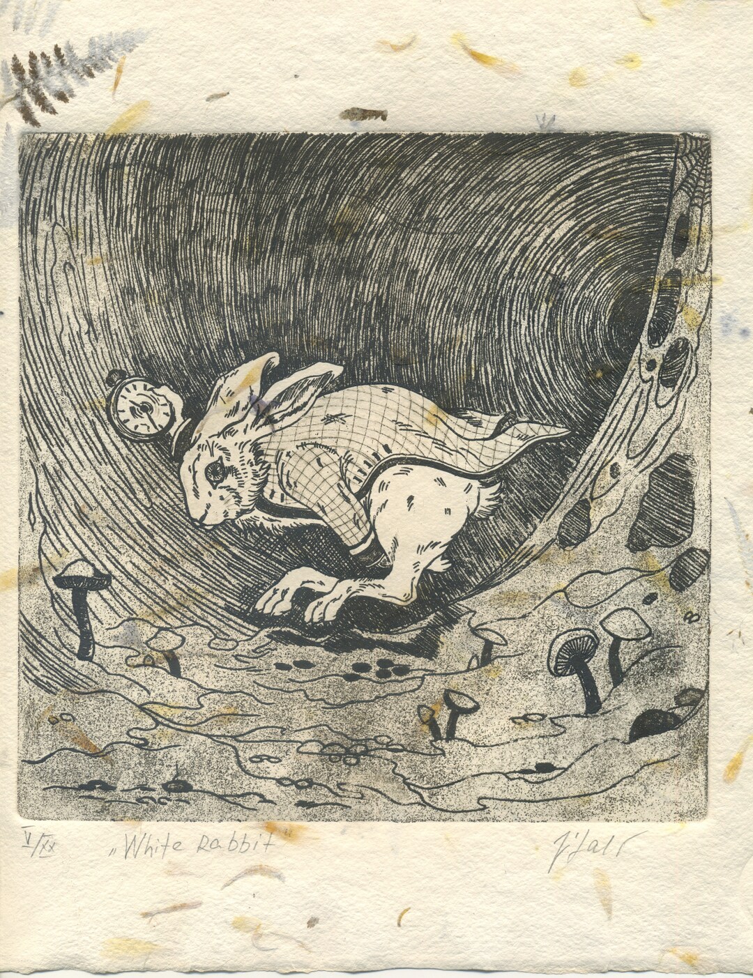 White Rabbit Engraving. the Rabbit Hole. Alice's Adventures in ...