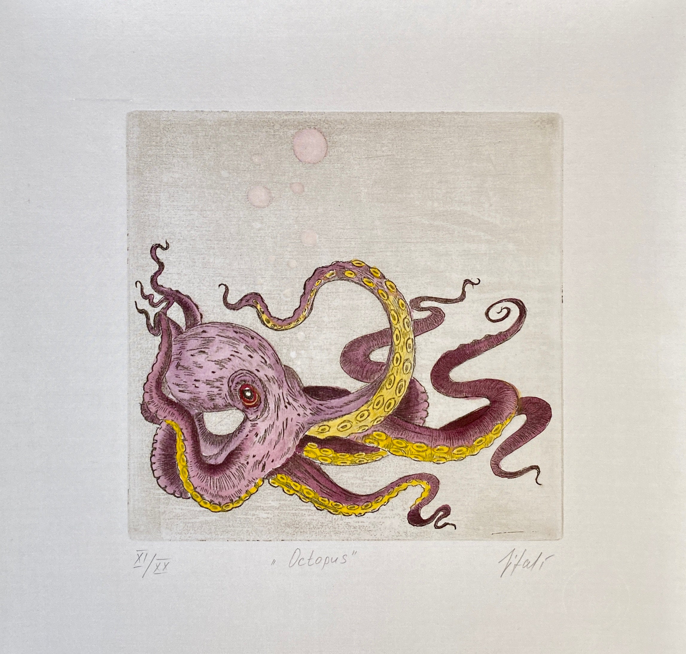 Original Engraving "Octopus". Octopods. Octopus. Octopus. Kraken ...
