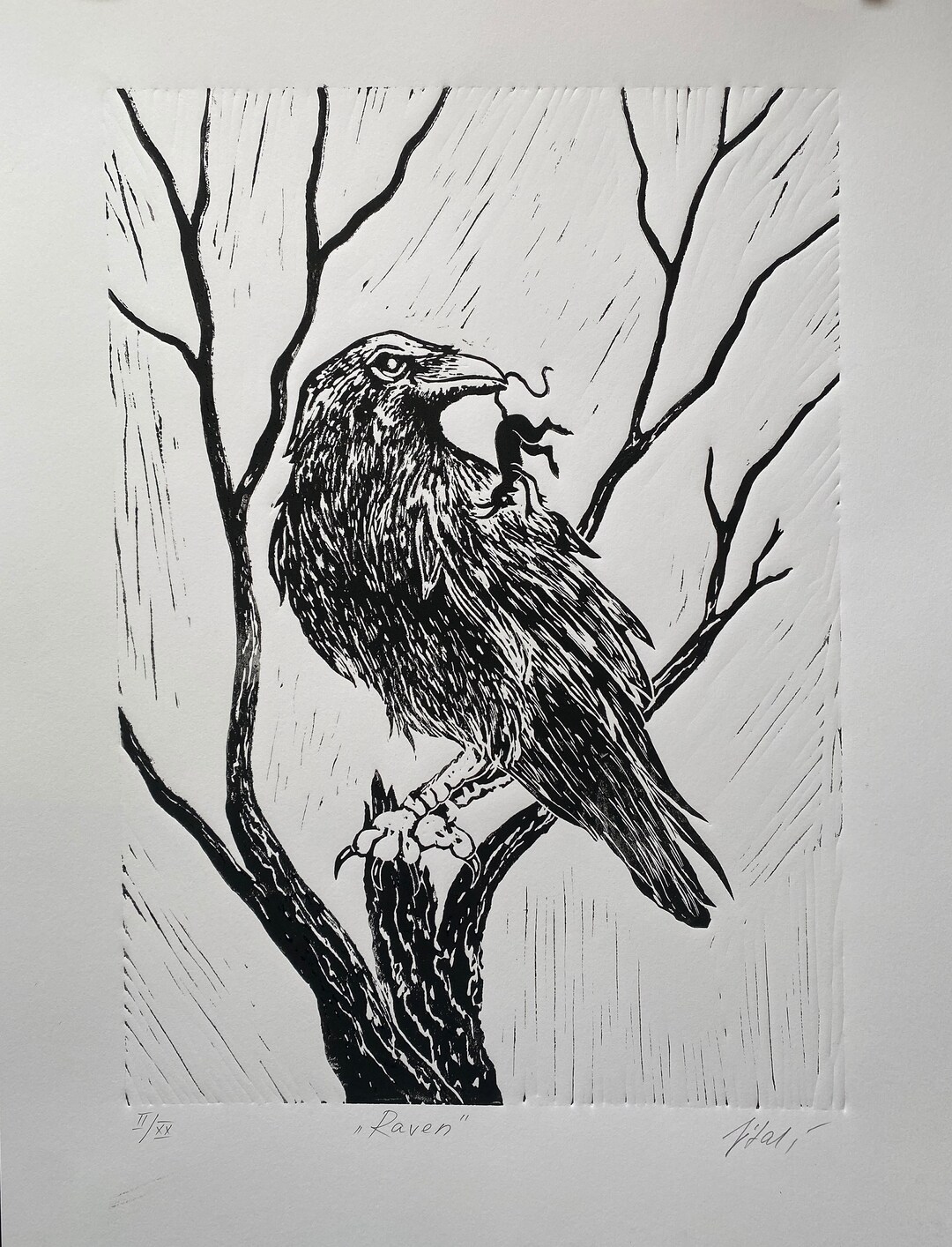 Raven. Le Corbeau. Linogravure. - Etsy