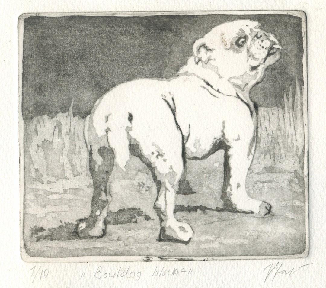 Original Engraving white Bulldog ,dog Print,dog Engraving,dachshund,dog ...