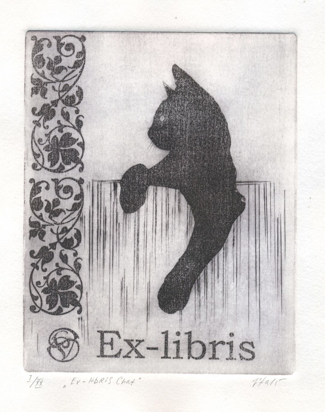 Engraving "ex Libris. Cat" - Etsy
