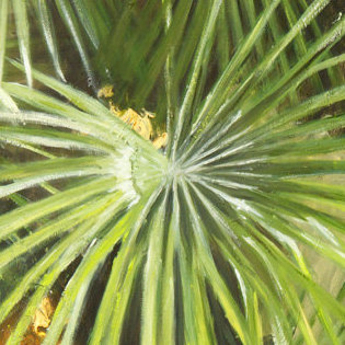 Glass Art Green Wall Art Glass Art Print Oil Painting on - Etsy