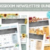 EDITABLE Class Newsletter Template February 2023 | Monthly Class ...