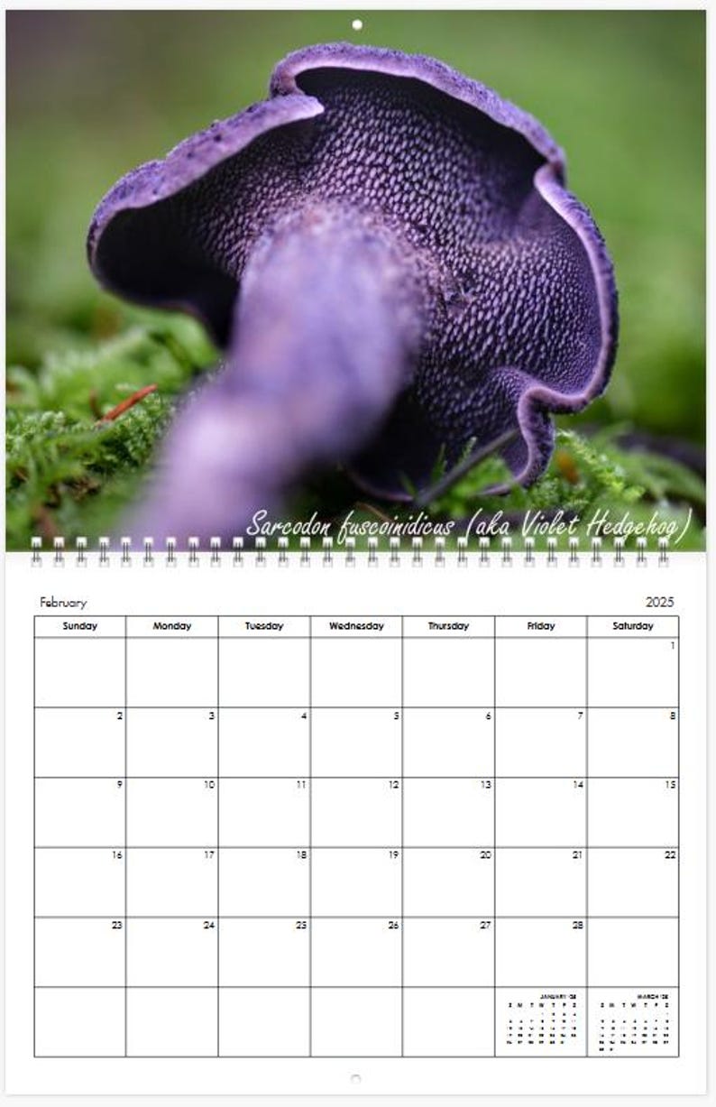 2025 Wall Calendar Fungi of the Pacific Northwest - Etsy