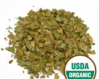 Witch Hazel Seeds | Etsy