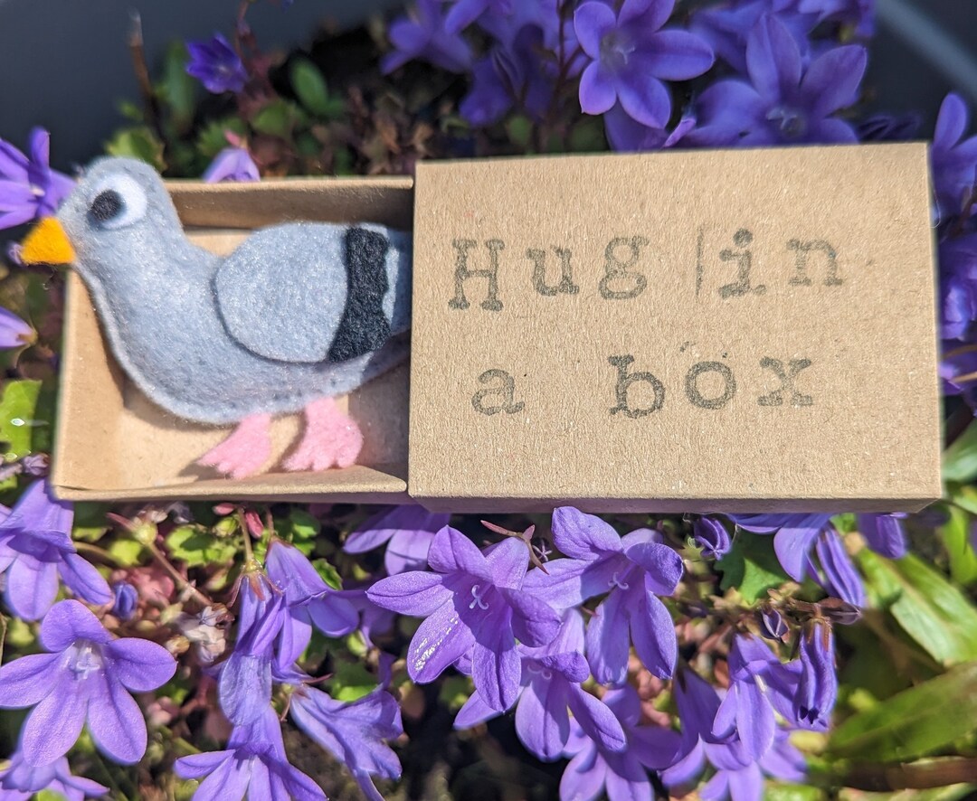 Pigeon Gift, Pigeons, Hug in a Box, Pocket Hug, Comfort, Anxiety, Bird ...