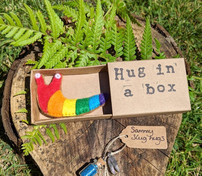 Hug in a Box Sammy Slug Hug Felt Slug Rainbow Mental - Etsy UK