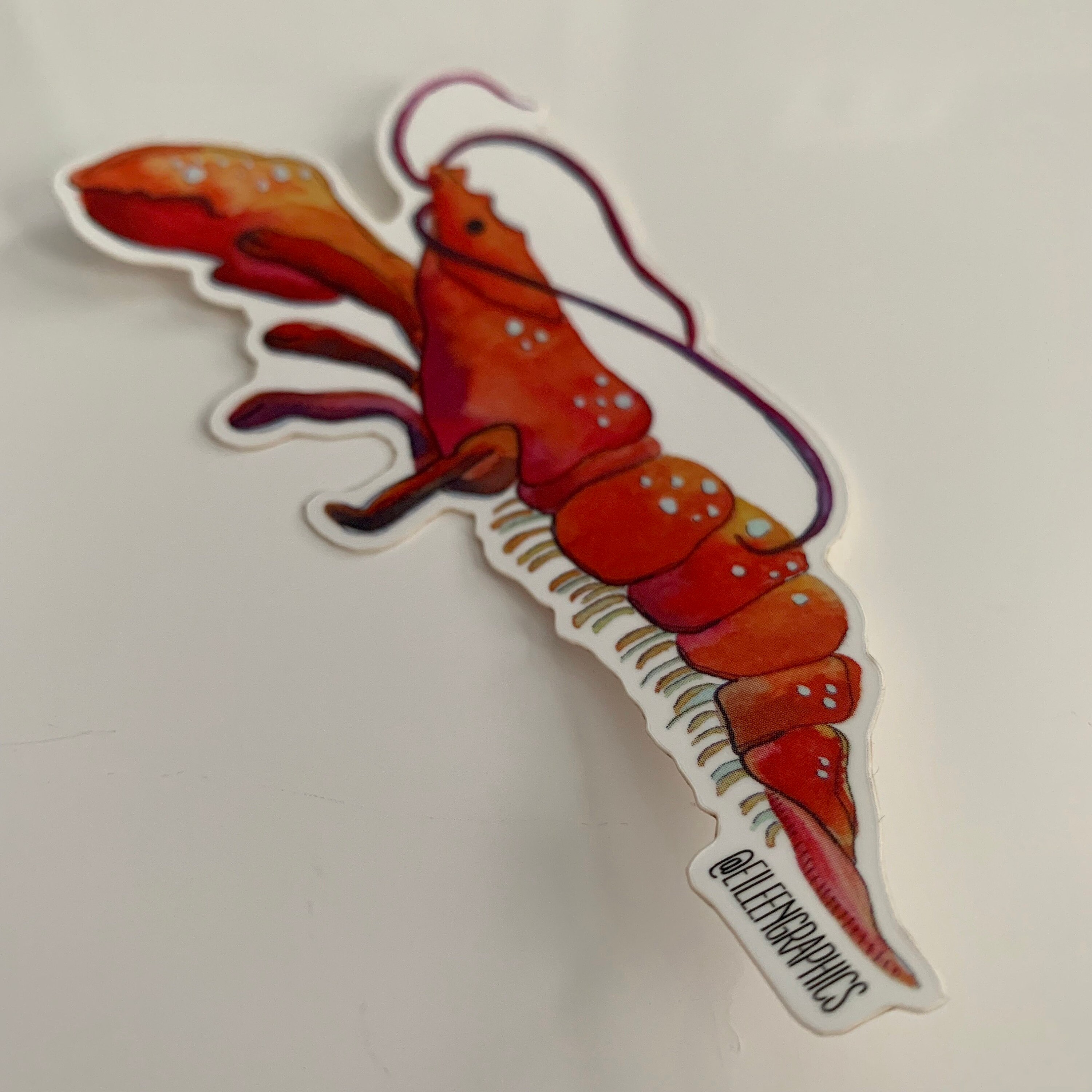 Eileen Graphics Lobster Sticker Designed in Newport RI - Etsy