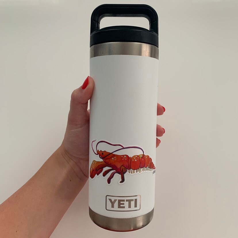 Eileen Graphics Lobster Sticker | Designed in Newport, RI | Small Gift | Laptop | Water Bottle ...
